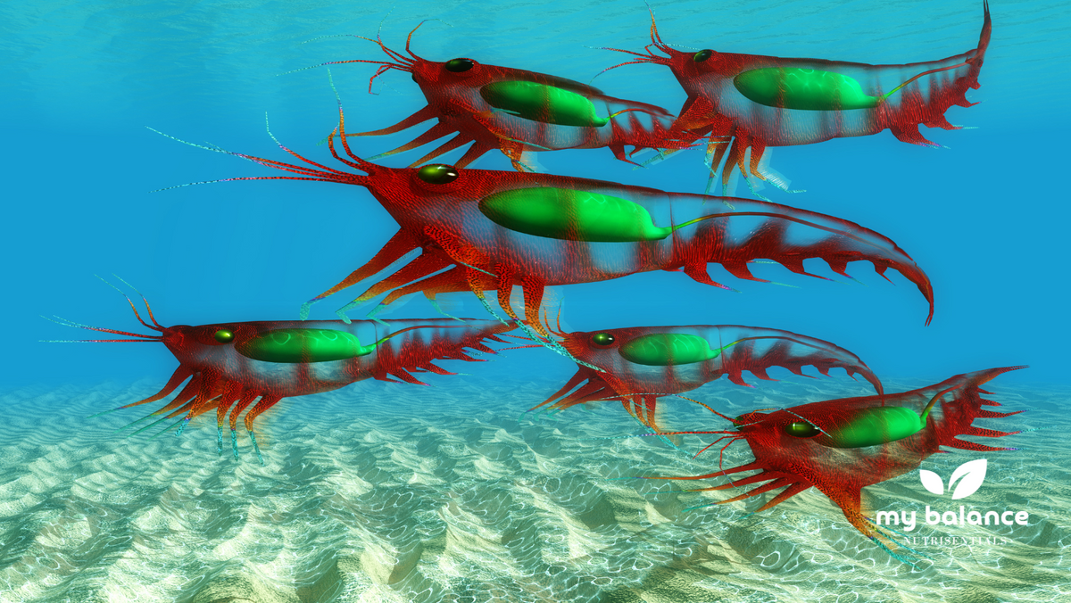 Krill Oil "A Rich Source of Omega-3 Fatty Acids" – My Balance